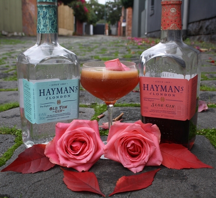 Entries to Hayman's Old Tom, New Cocktail competition